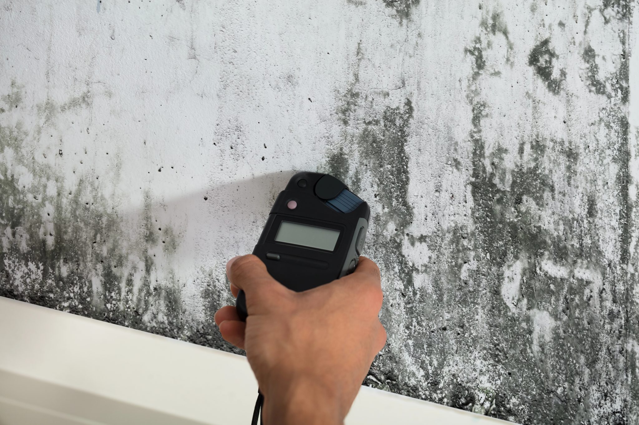 How Mold Spreads Through HVAC Systems and What Testing Reveals ...